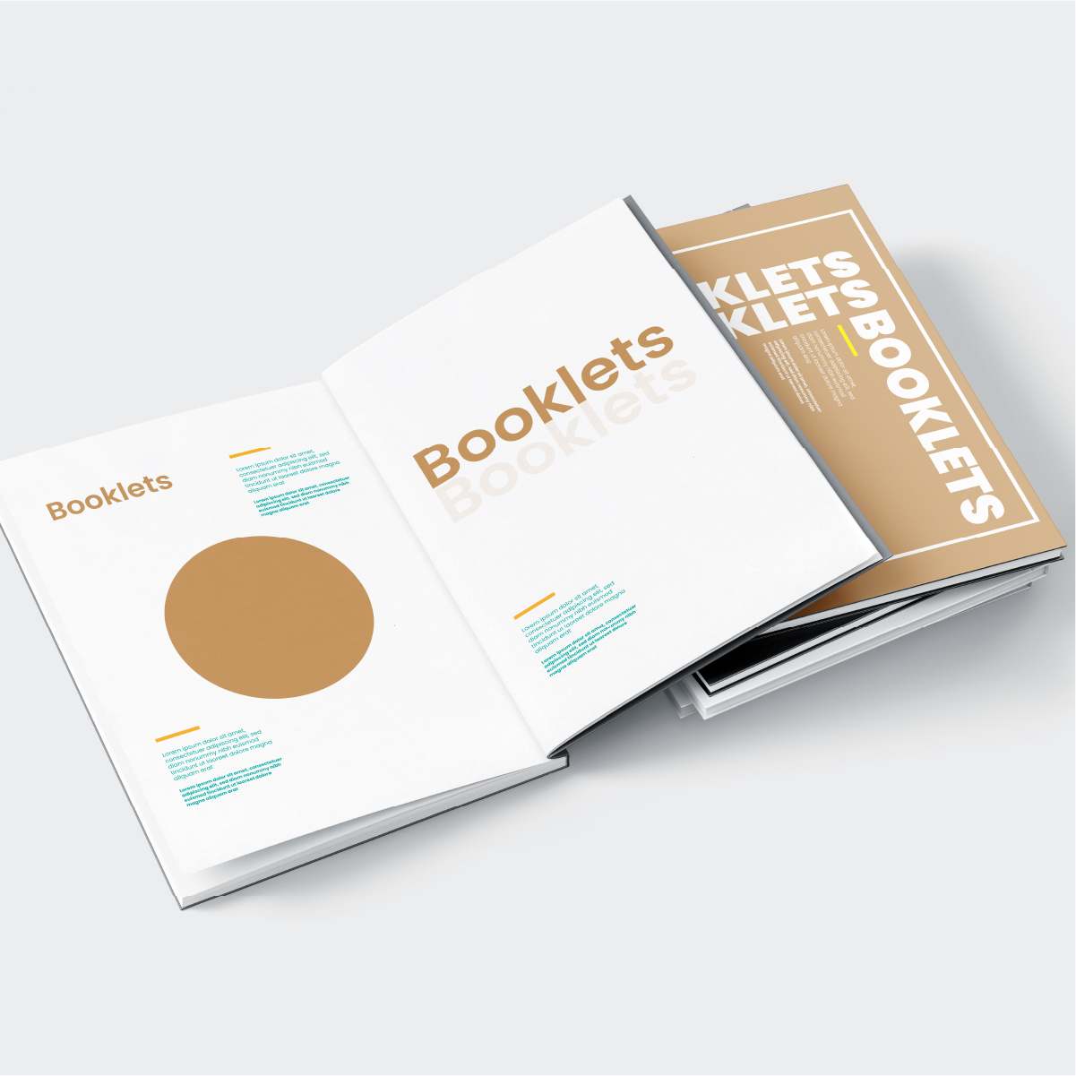 Booklets – Ricon Advertising